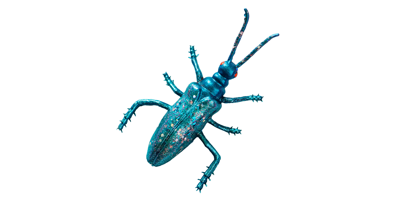 Minature World Of Insects Mangolink